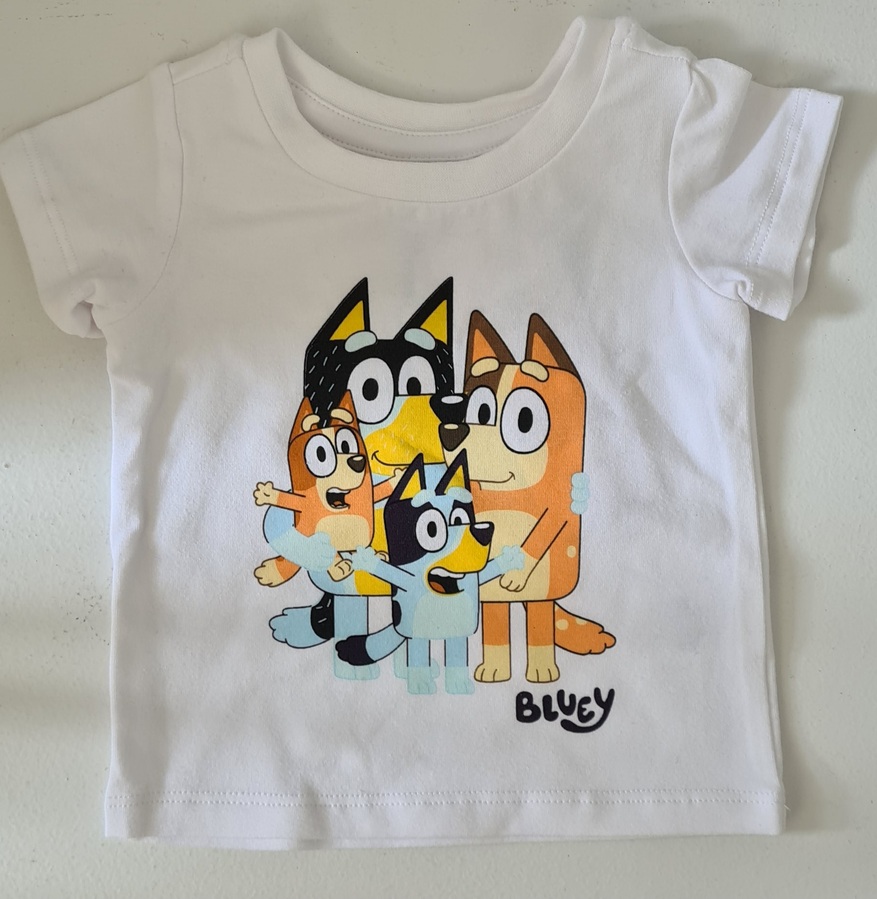 Bluey Print Tee Shirt White Base Bluey Family